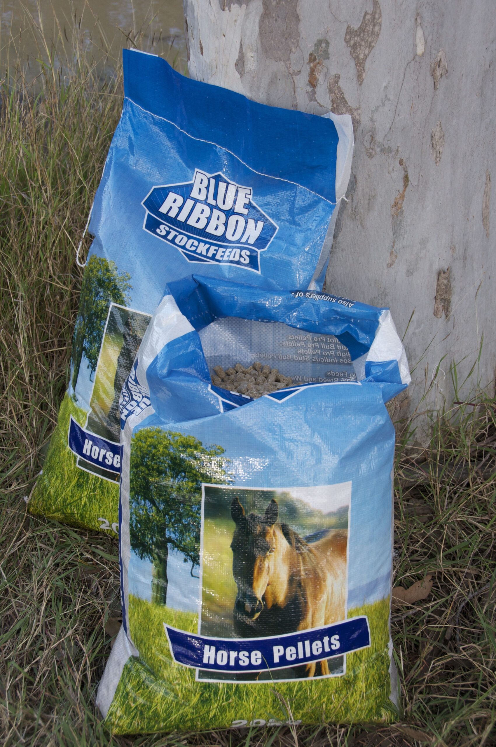 Blue Ribbon Stockfeeds - Retail Shop - Blue Ribbon Stockfeeds